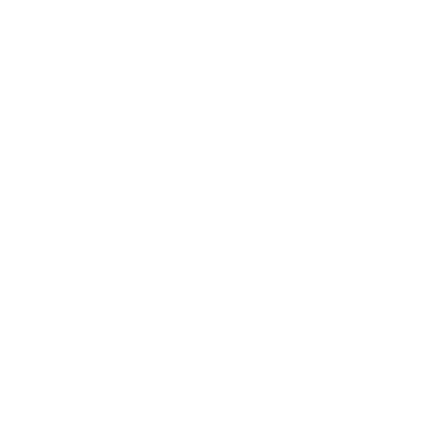 Introduction - Red Line Initiative